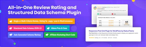 Best Wordpress Schema Plugins To Supercharge Your Seo Radiustheme