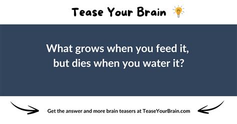 Grows When Feeding Riddle Tease Your Brain