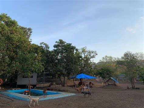 Hitesh Khandelwal Posted On Linkedin