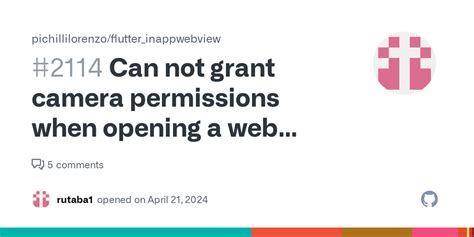Can Not Grant Camera Permissions When Opening A Web Page In Web View On Flutter Web · Issue