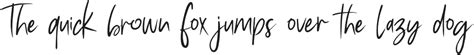 apollo a modern brush script font a script font by megs lang