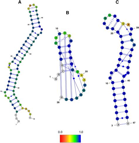 Correlating Shape Signatures With Three Dimensional Rna Structures