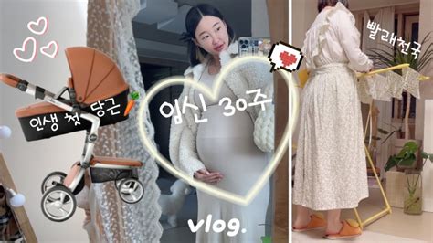 브이로그 임신 30주차 Vlog 밑이 빠질 것 같아도 아기빨래 멈출 수 없어 인생 첫 당근템은 미마자리 유모차 30주차 금돌이 몸무게 검진후엔 소고기
