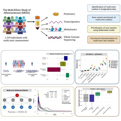 The Functional Impact Of Rare Variation Across The Regulatory Cascade Cell Genomics