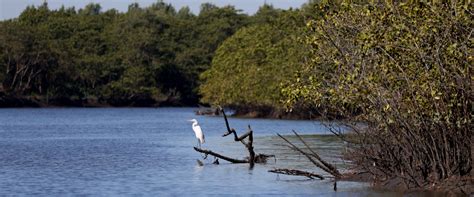 Governance And Integrity Environpact