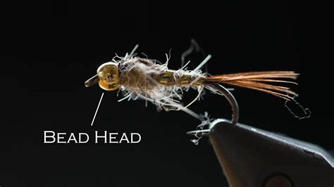 Tom Rosenbauer Dry Fly Vs Nymph Vs Streamer Youtube