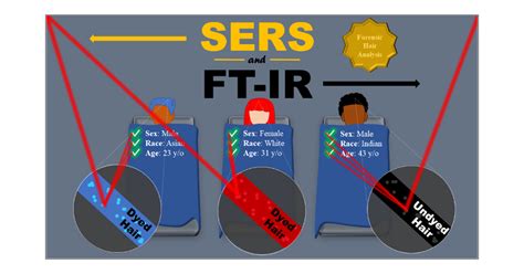 role of race ethnicity sex and age in surface enhanced raman
