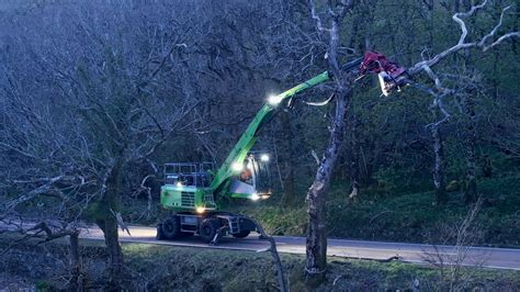 Ayrshire Tree Surgeons Capabilities Ayrshire Tree Surgeons