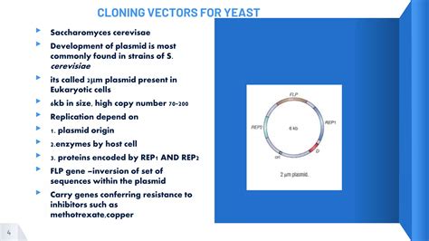 Cloning Vectors For Yeast And Agrobacterium Tumefacienspptx