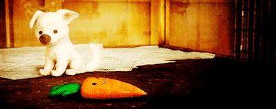 Secret Castles Tumblr Com Tumbex