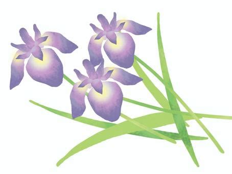 あじさいと虹の縦フレームイラスト No 1113413／無料イラスト フリー素材なら「イラストac」