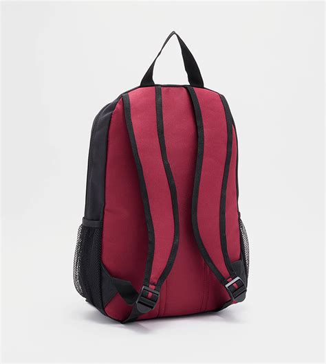 Buy Aeropostale Aero Girl's Logo Detail Backpack In Maroon | 6thStreet UAE
