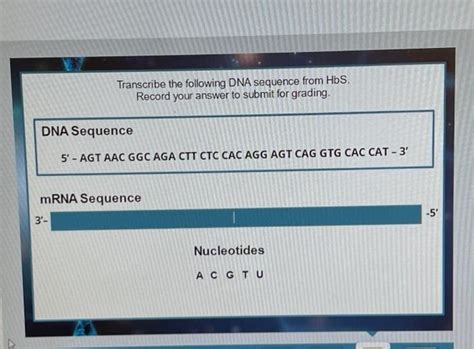 Solved Transcribe The Following Dna Sequence From Hbs