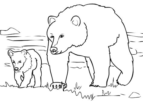 Promenade Bears And Cubs Coloring Pages
