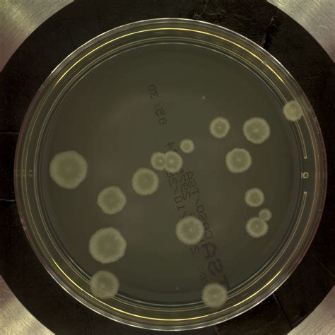 Software Engineering Roboflow Universe