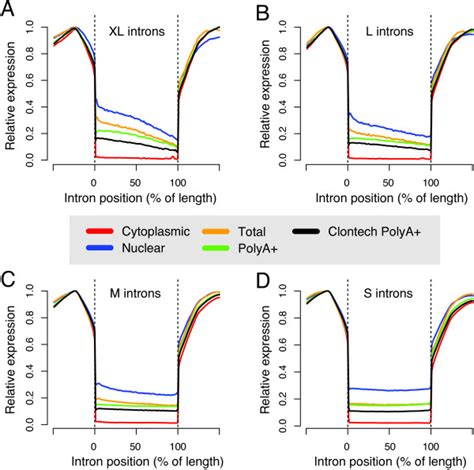 Rna Seq Coverage Profiles Across Introns Of Different Sizes The