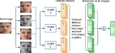 Improving Deep Facial Phenotyping For Ultra Rare Disorder Verification Using Model Ensembles