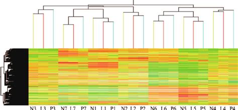 Hierarchical Clustering Analysis Of All Gene Models Based On Expression