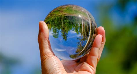 Look 82 Species Chronicle Earths Latest Mass Extinction