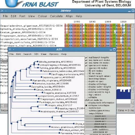 Pdf The European Ribosomal Rna Database