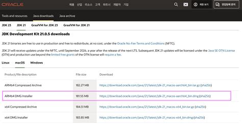 Spring Boot 개발환경 세팅 Java 설치 환경변수 설정 Vscode