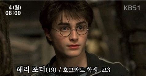 해리포터 근황 어쩔수 없는 대입 스트레스