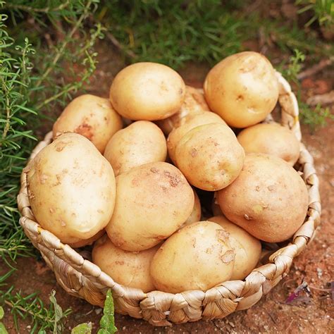 A94daf9f7489e4d32bd297ae0a4ebe692p