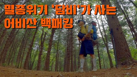 지금 가기 좋은 어비산에서 하룻밤 백패킹 Youtube