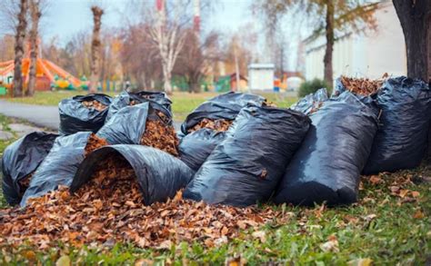 How To Get Rid Of Yard Debris Home And Garden