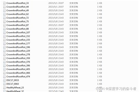 小麦病害数据集（yolo使用） csdn博客