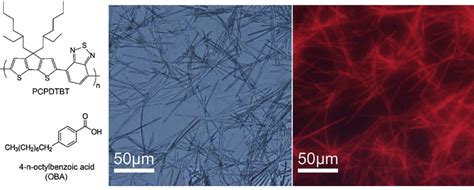 Nanowires Of Amorphous Conjugated Polymers Prepared Via A Surfactant Templating Process Using An