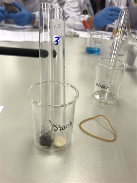 Biomolecule Detection Lab