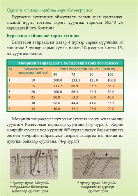 Бургасыг хэрхэн тарьж ургуулах вэ Манай оронд 40 өөд зүйлийн бургас