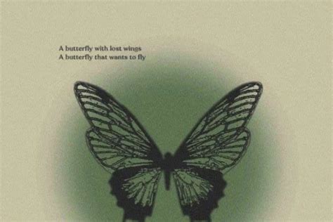 مزه ها؟ تستچی