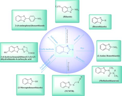 Benzothiazole A Multifunctional Nucleus Download Scientific Diagram