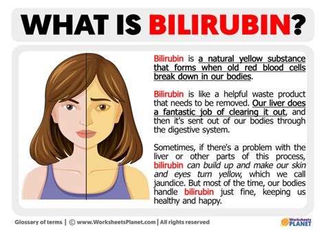 What Is Bilirubin Definition Of Bilirubin