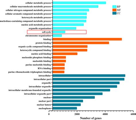 Go Annotation And Classification Of Degs In Control And Ucts‐treated