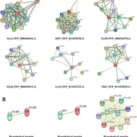 Identification Of Conformational B Cell Epitopes On The Tertiary Download Scientific Diagram