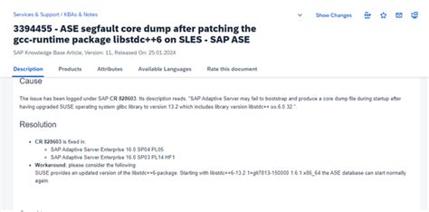 Sybase Issue Segmentation Fault During Suse Os Up Sap Community