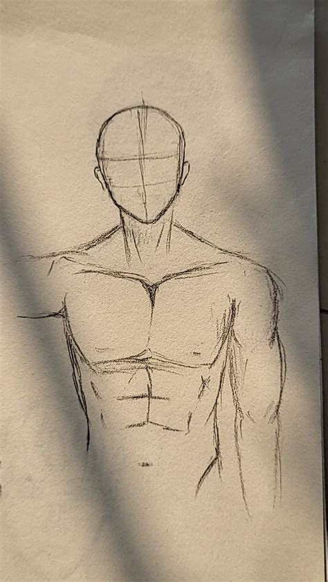 Male Body Sketches