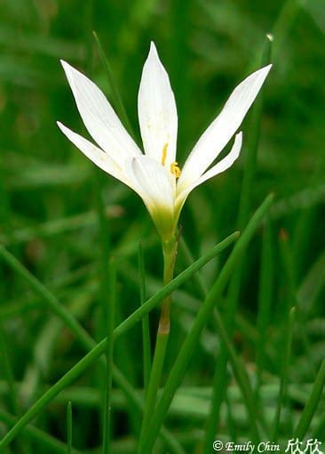 오스왈드 챔버스 Oswald Chambers 주님은 나의 최고봉 3월 26일 인격적인 청결에 의한 비전 마 58 마음이 청결한 자는 복이 있나니 저희가