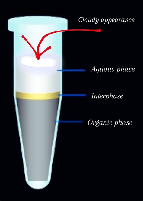 Explanations For A White Cloudy Appearance After The Addition Of Phenol