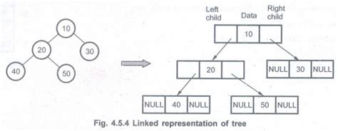 Representation Of Tree ADT Data Structure