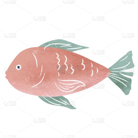 手绘 海鲜贴纸 鱼