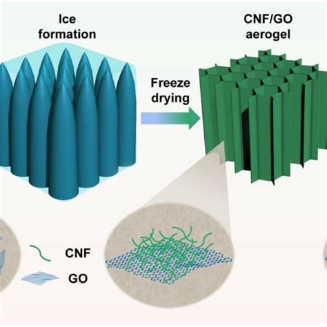A Xrd Patterns Of Cnf Go Aerogel And Cnf Rgo Carbon Aerogel B Raman