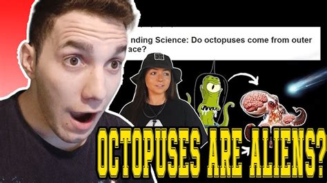 Do Scientists Think That Octopuses Are Aliens Lindsay Nikole