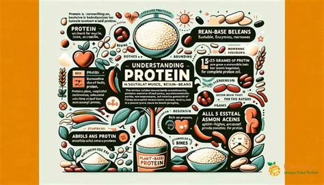 The Essential Guide To Protein In Rice And Beans A Deep Dive