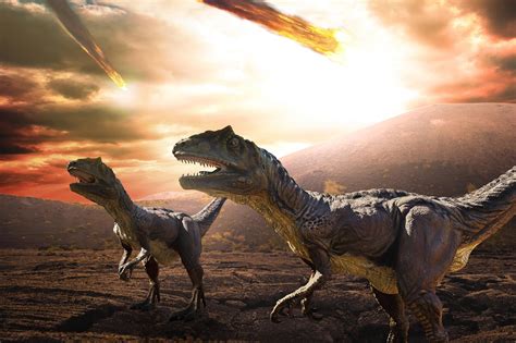 What Really Killed Dinosaurs And Other Life On Earth Maybe Not An