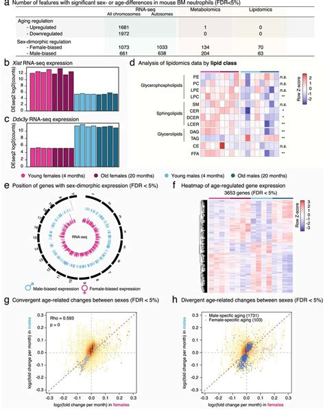 A Multi Omic Analysis Of Primary Mouse Bone Marrow Neutrophils During Download Scientific