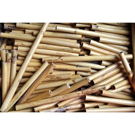 Cane In Tube Oboesales Oboe